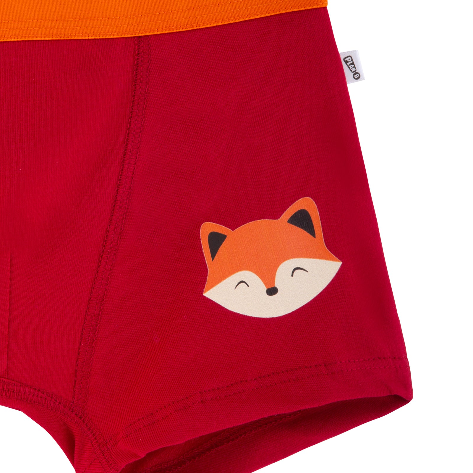 Foxy Dino 4-Pack Boy Trunks – Plan B