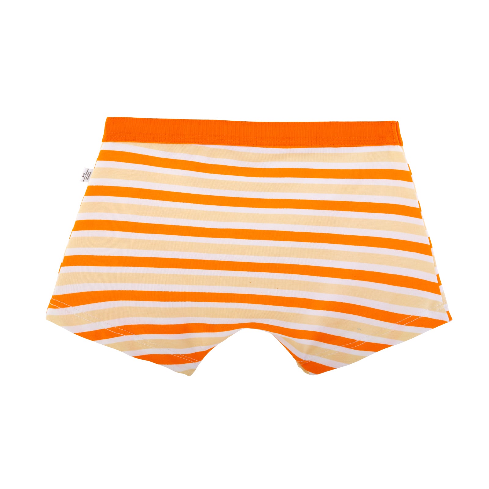 Foxy Dino 4-Pack Boy Trunks – Plan B